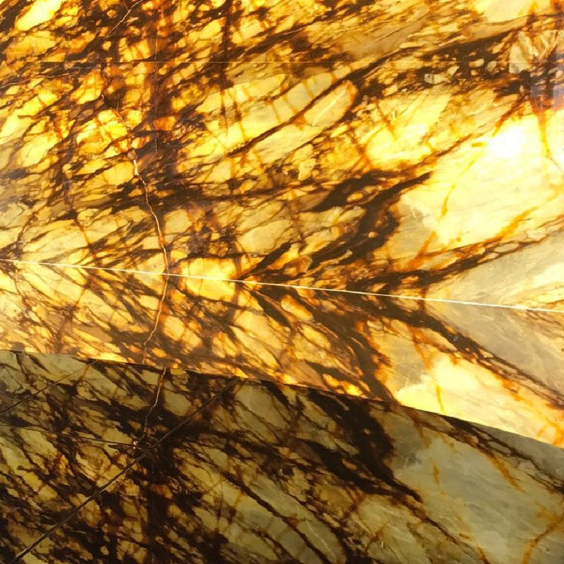 Buy Premium Quantum Onyx Online in Australia | On Sale!