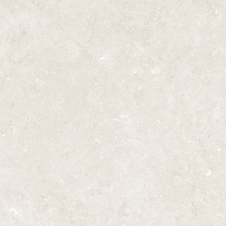 Jude Ivory Matt 600x600